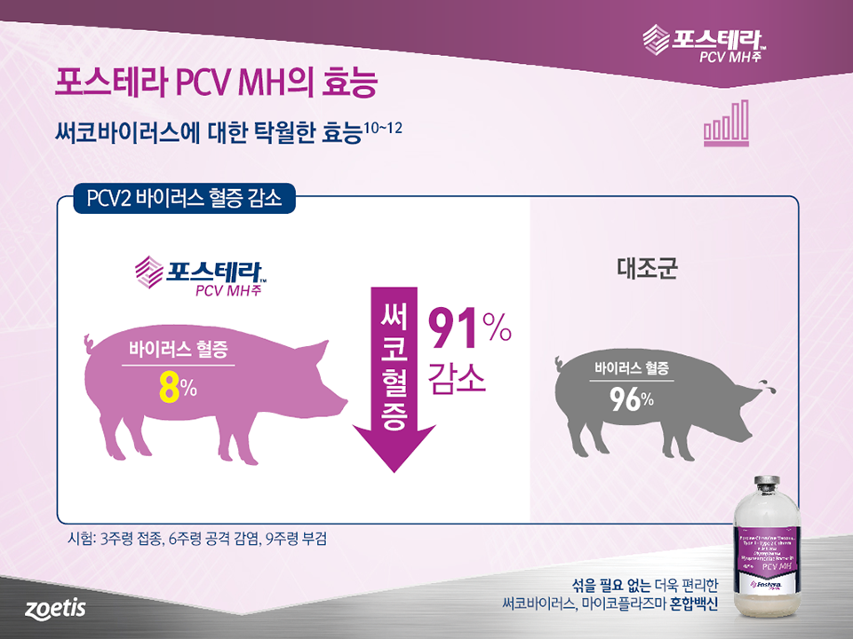 Efficacy of Fostera® PCV MH to Prevent PCV2 | Zoetis | Zoetis KR