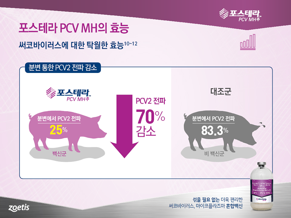 Efficacy of Fostera® PCV MH to Prevent PCV2 | Zoetis | Zoetis KR