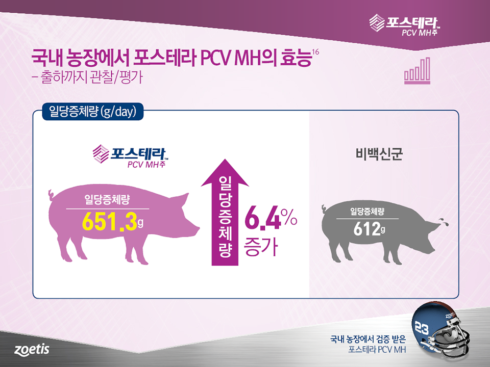 Daily Gain Production Benefits of Fostera® PCV MH | Zoetis | Zoetis KR